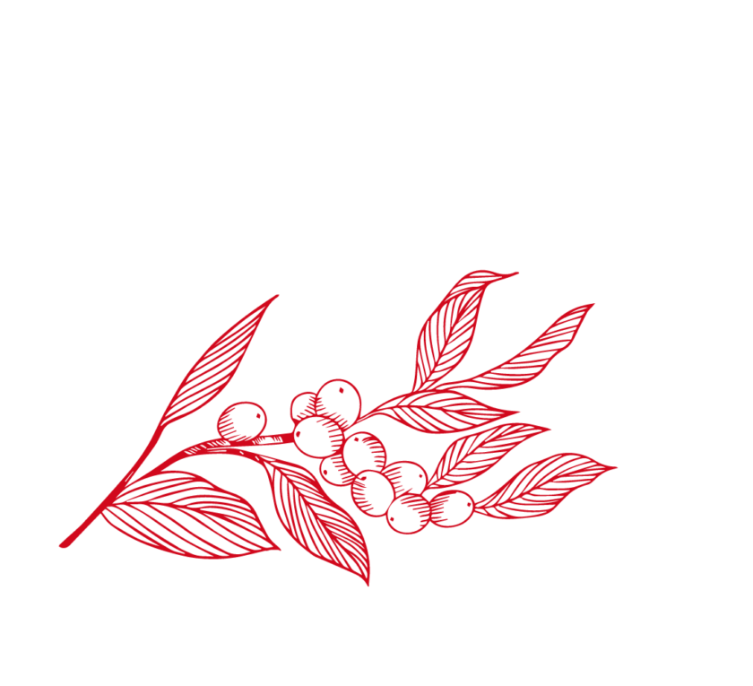 About Us - bennybeans